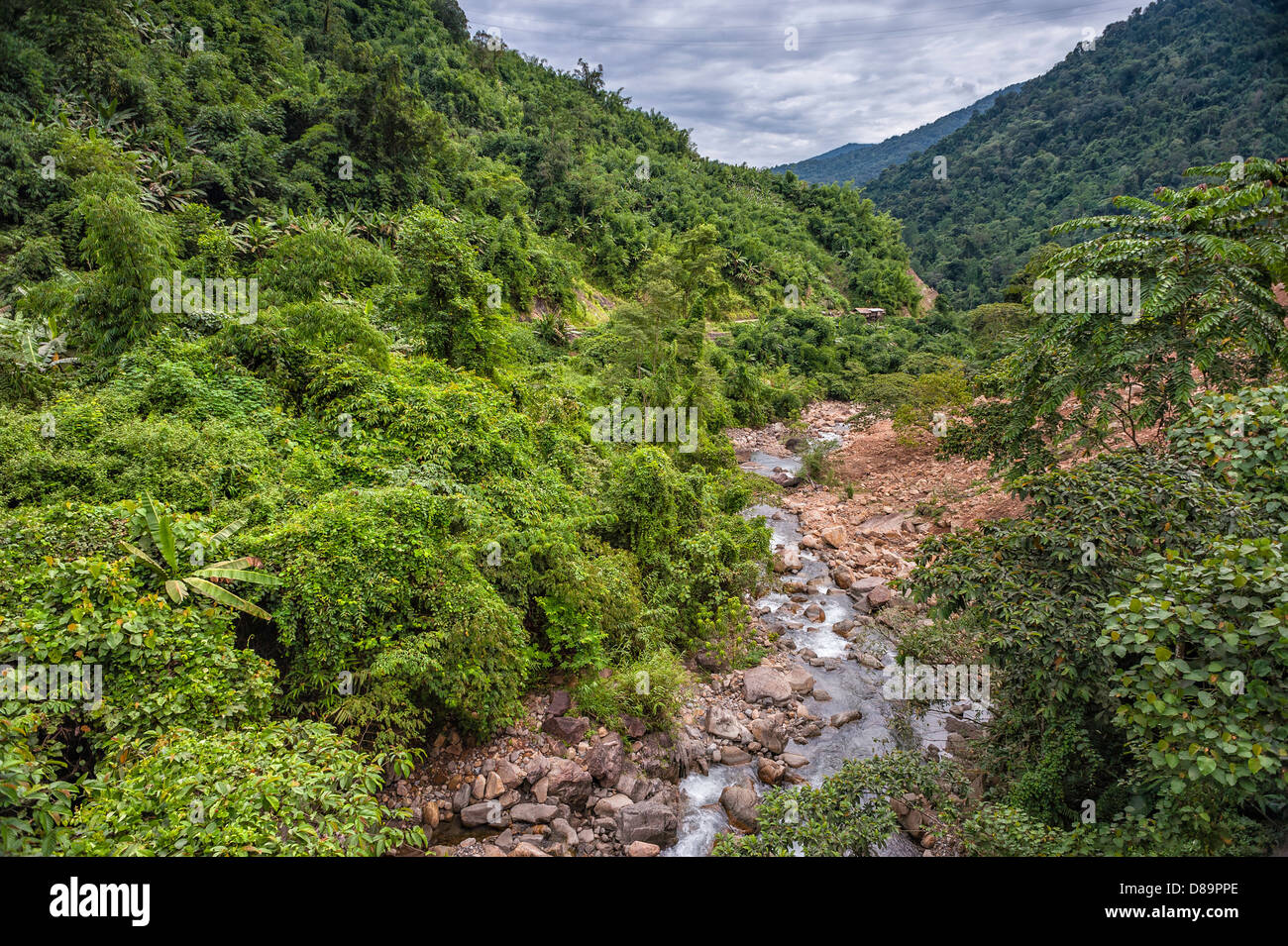 Deep valley gorge and stream running through steep forested slopes in ...
