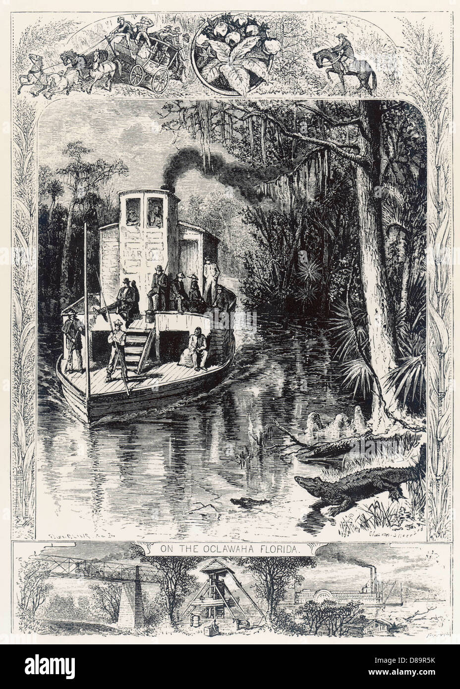 Florida Swamp - Steamer Stock Photo - Alamy