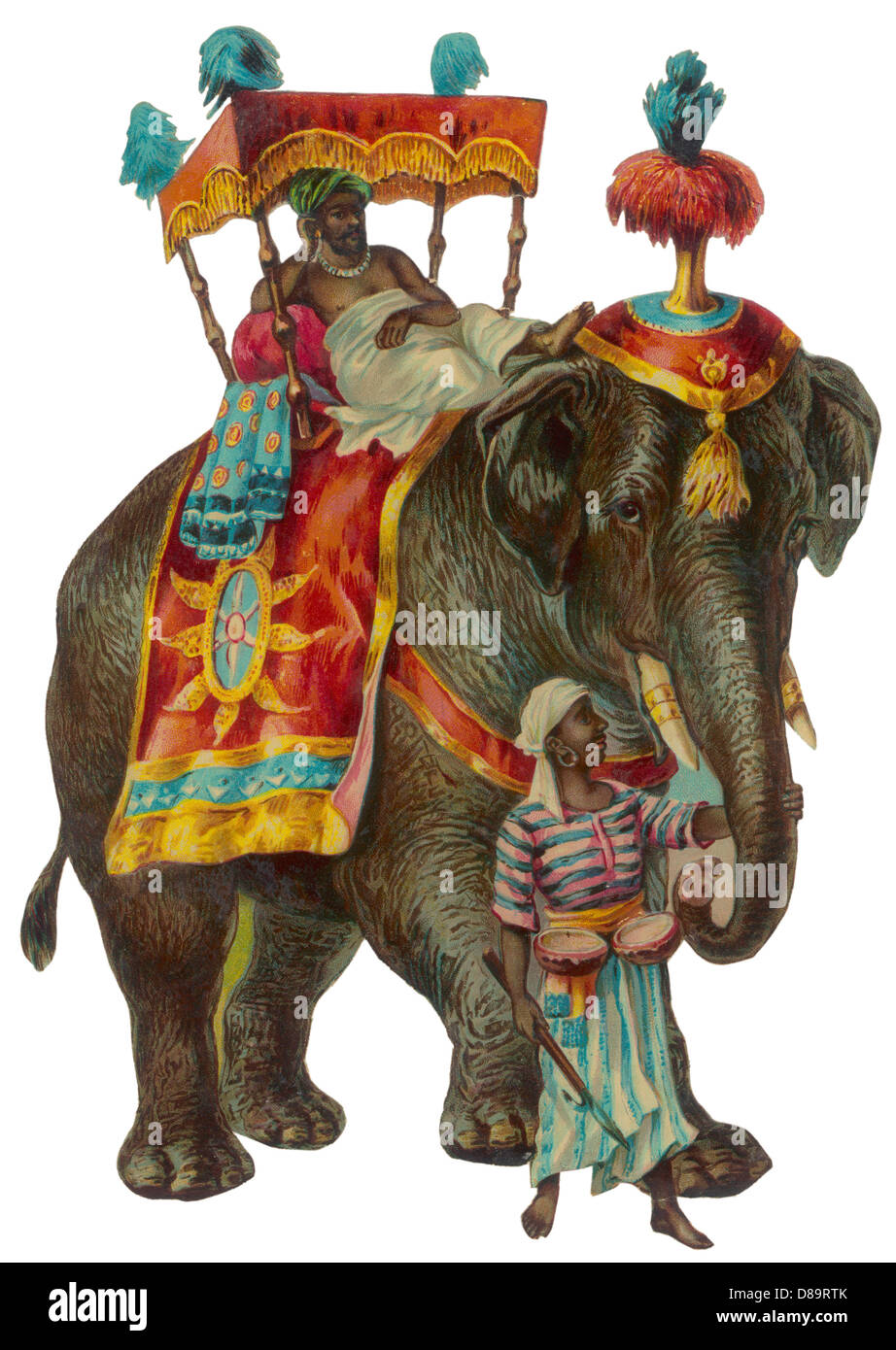 Elephant rider hi-res stock photography and images - Alamy