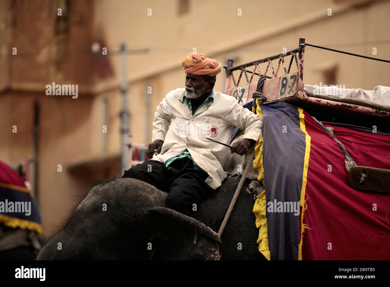 Mahaut hi-res stock photography and images - Alamy