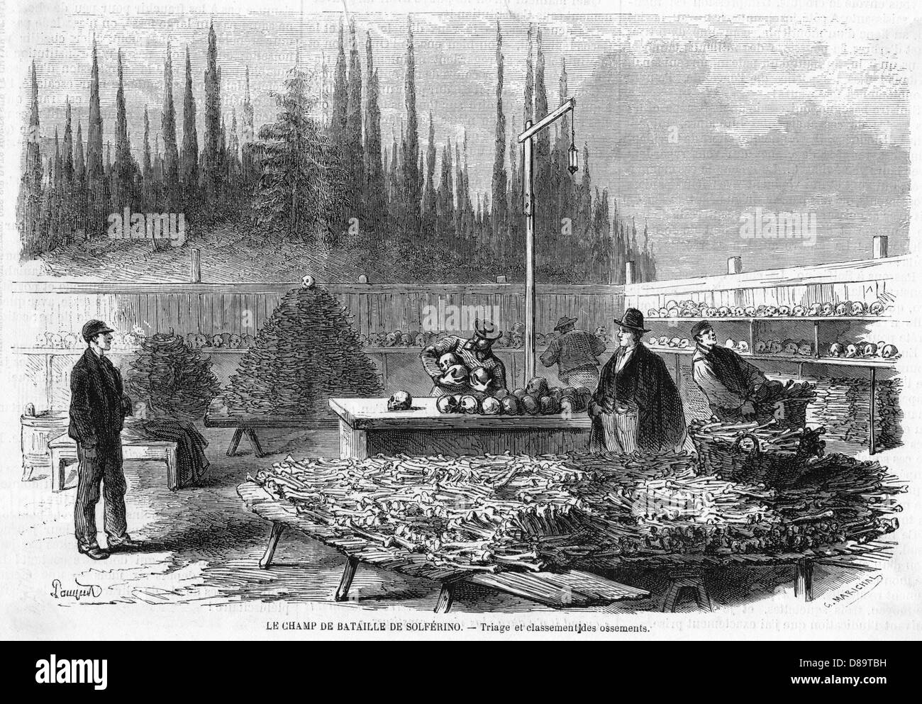 Battle of solferino 1859 hi-res stock photography and images - Alamy