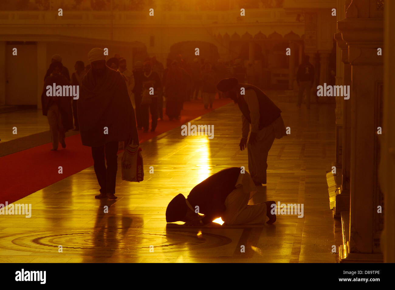 India, Punjab, Amritsar, Golden Temple silhouette of male praying at ...