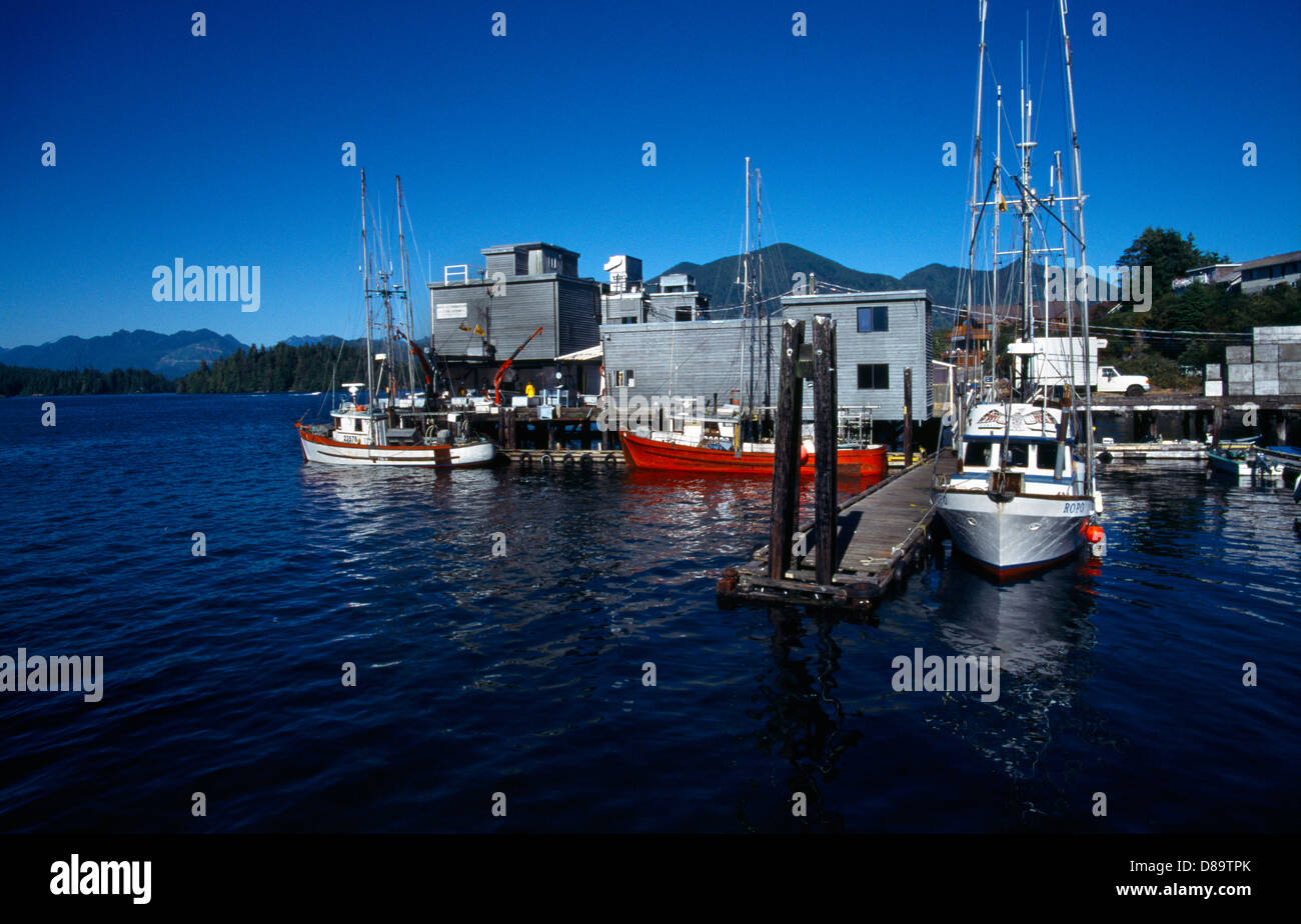 clayoquot sound tofino vancouver island canada Stock Photo - Alamy