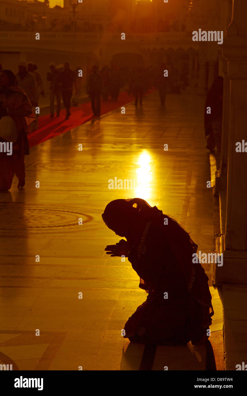 India, Punjab, Amritsar. Golden Temple silhouette of female praying at ...