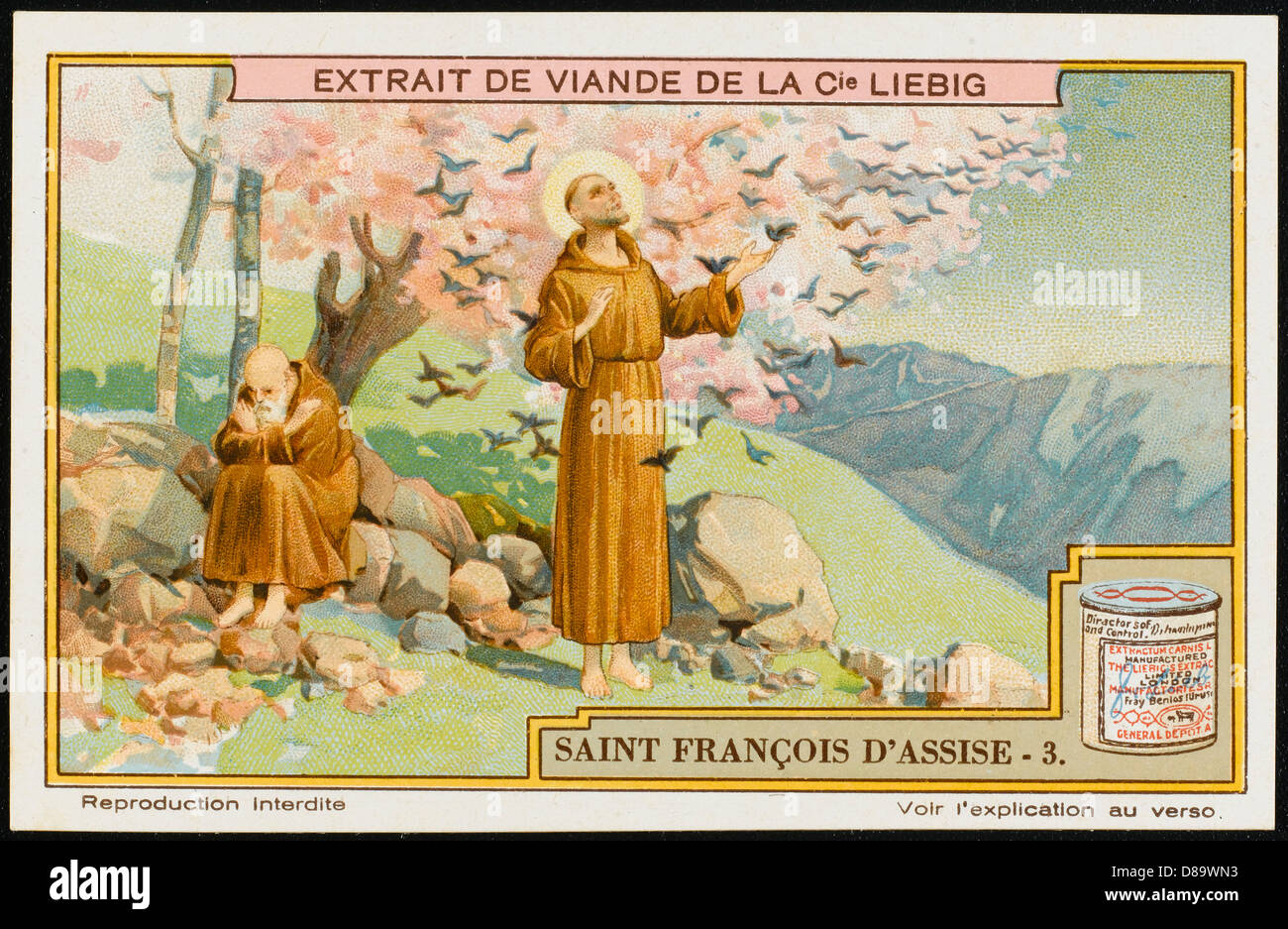 Saint francis of assisi birds hi-res stock photography and images - Alamy