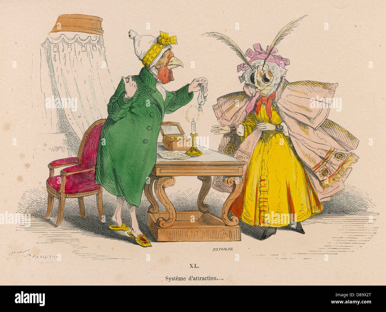 BIRD AND INSECT Stock Photo - Alamy