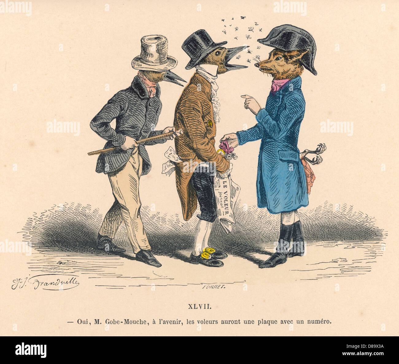 Don bird hi-res stock photography and images - Alamy