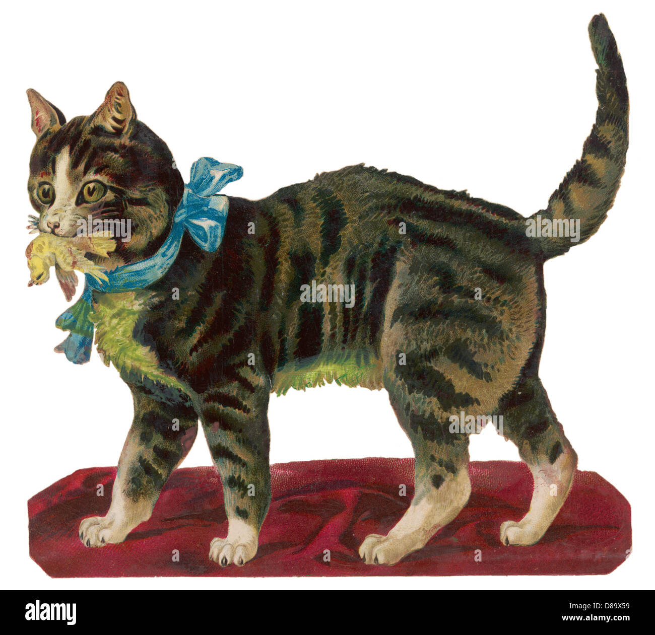 Cat and bird mouth hi-res stock photography and images - Alamy