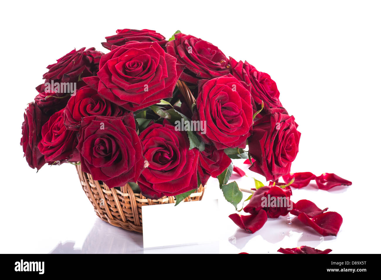 Beautiful roses hi-res stock photography and images - Alamy