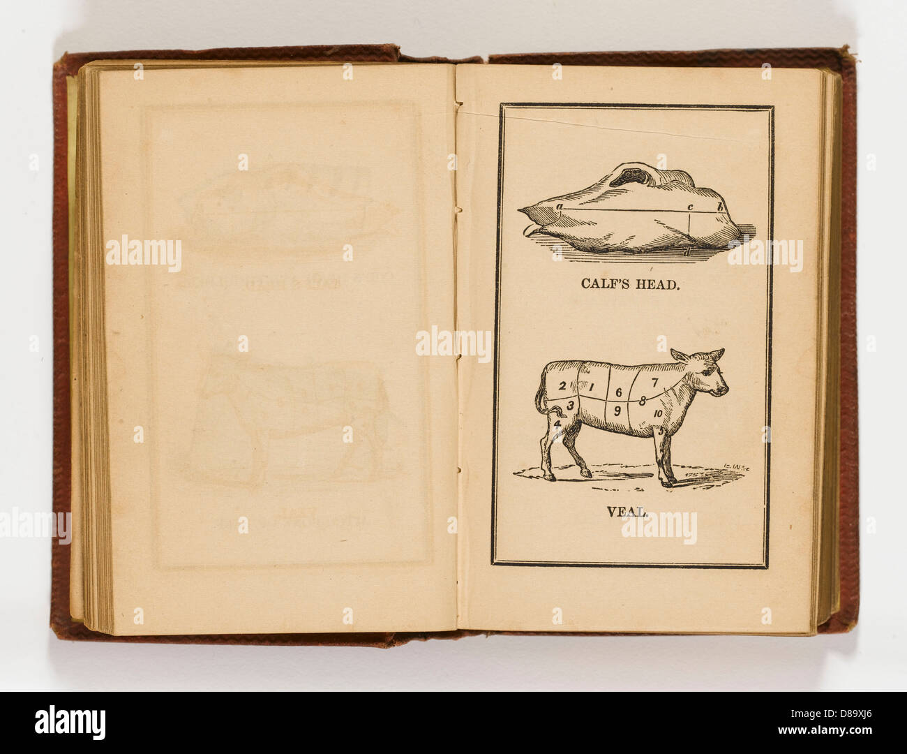 Maria rundell hi-res stock photography and images - Alamy