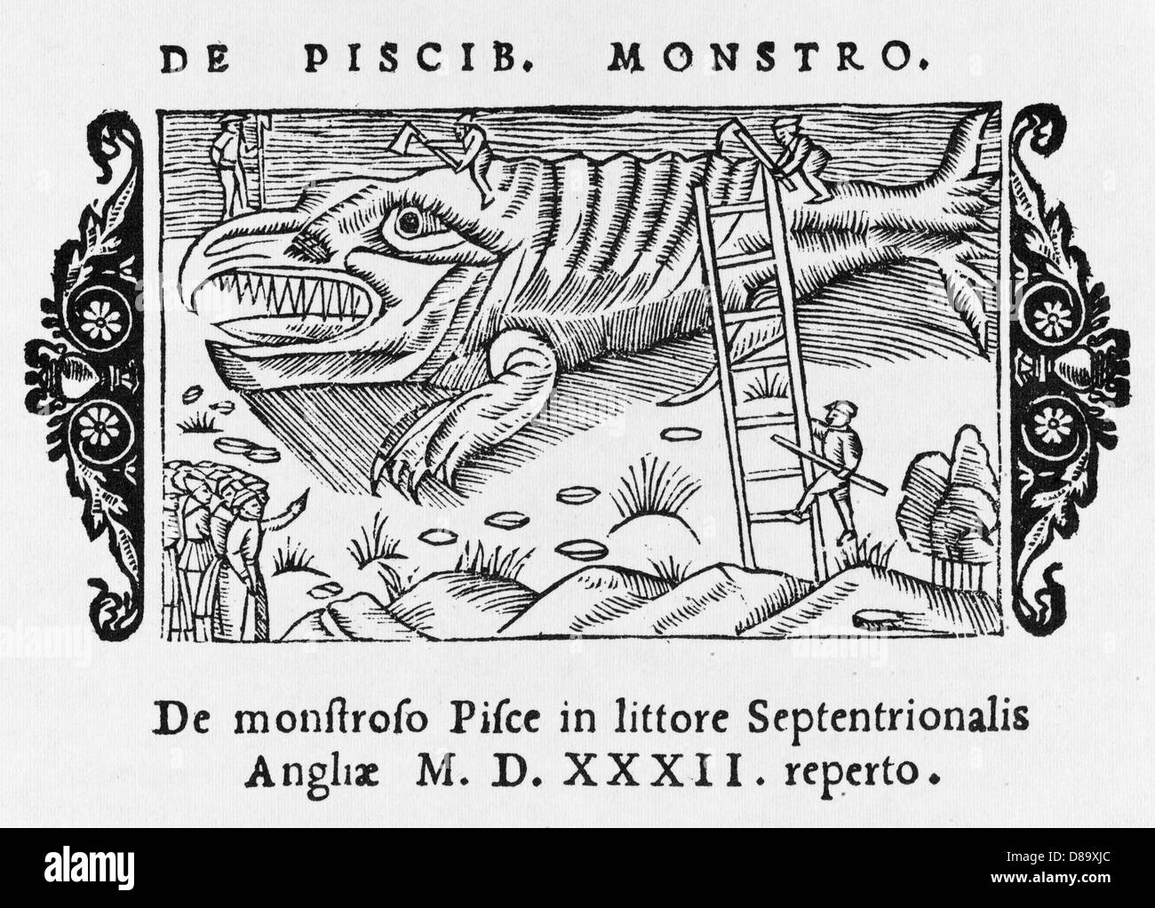 HUGE FISH CAUGHT Stock Photo - Alamy