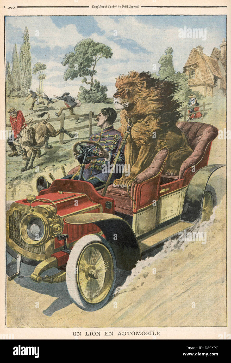 LION IN PASSENGER SEAT Stock Photo - Alamy