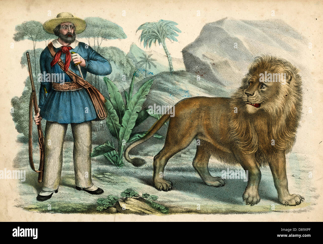 HUNTER AND DARING LION Stock Photo - Alamy