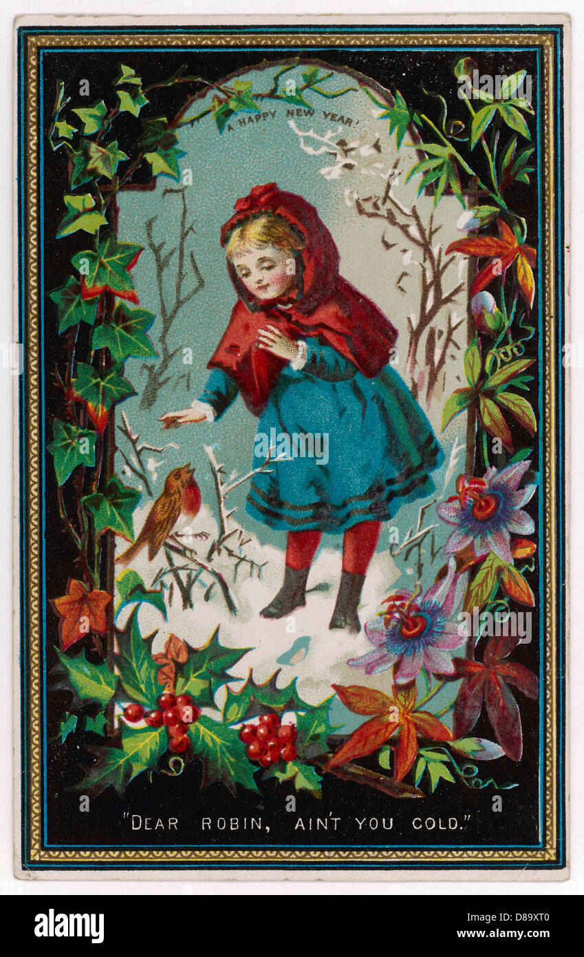 Dear Robin, ain't you cold Stock Photo - Alamy