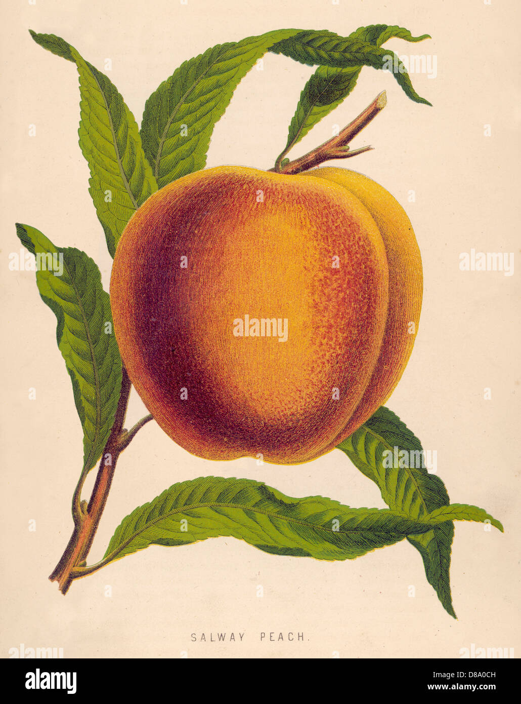 Salway hi-res stock photography and images - Alamy