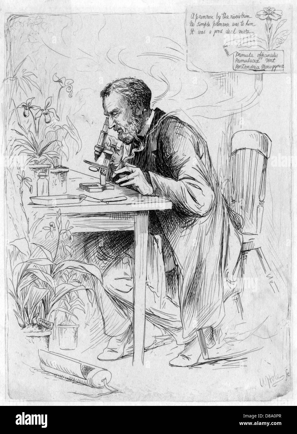 Alexander dickson hi-res stock photography and images - Alamy