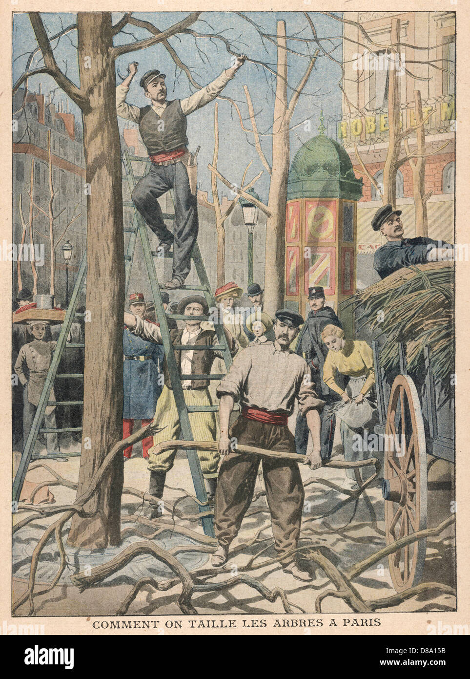 LOPPING TREES IN PARIS Stock Photo - Alamy