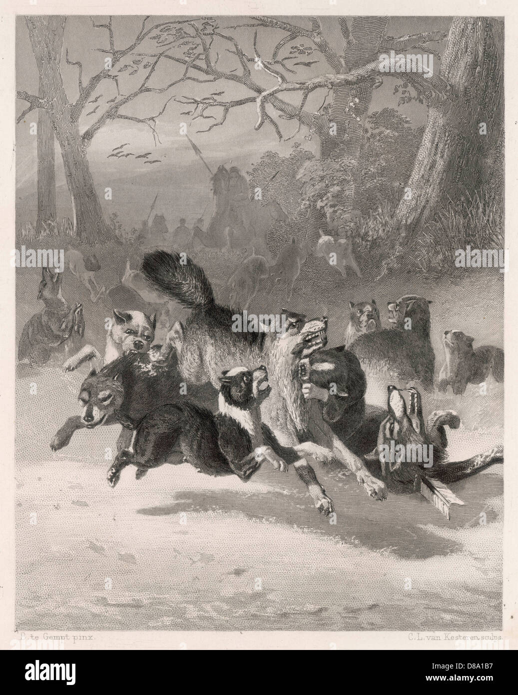 Wolf hunt medieval hi-res stock photography and images - Alamy