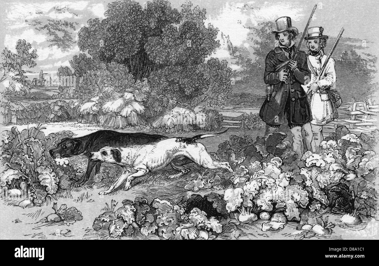 Shooting partridge Black and White Stock Photos & Images - Alamy