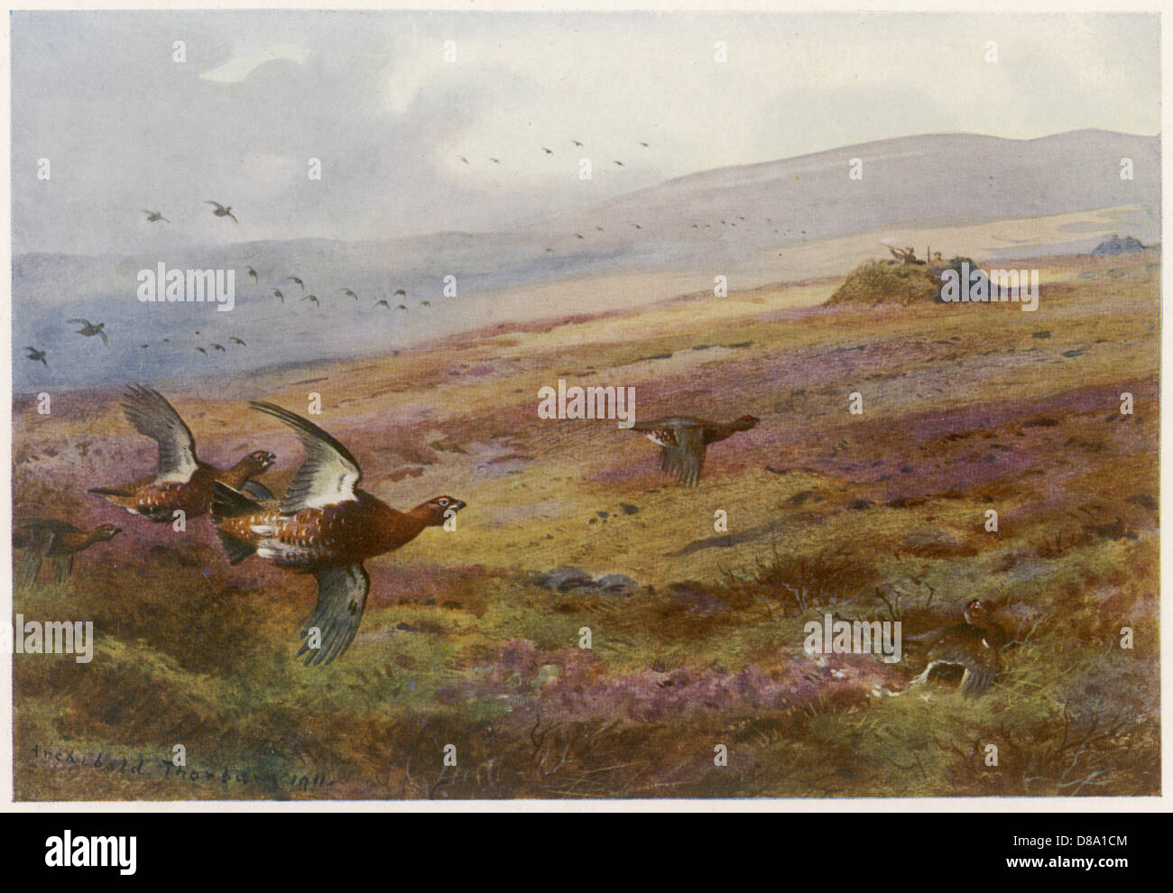 Edward Vii At Balmoral Stock Photo - Alamy