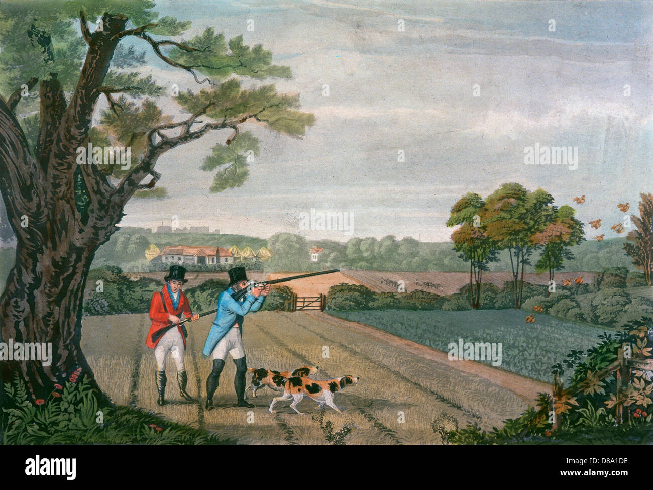 Partridge Shoot 1830 Stock Photo - Alamy