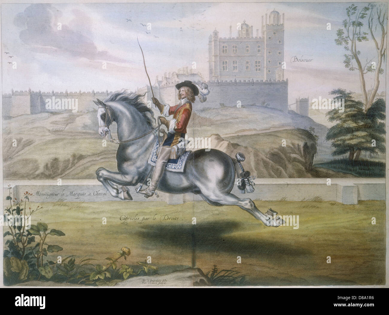 Caprioles hi-res stock photography and images - Alamy