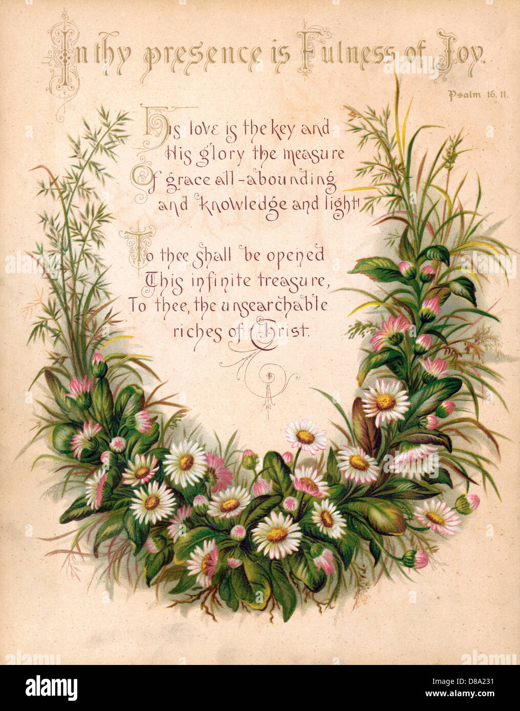 Fulness of Joy Plate Stock Photo - Alamy