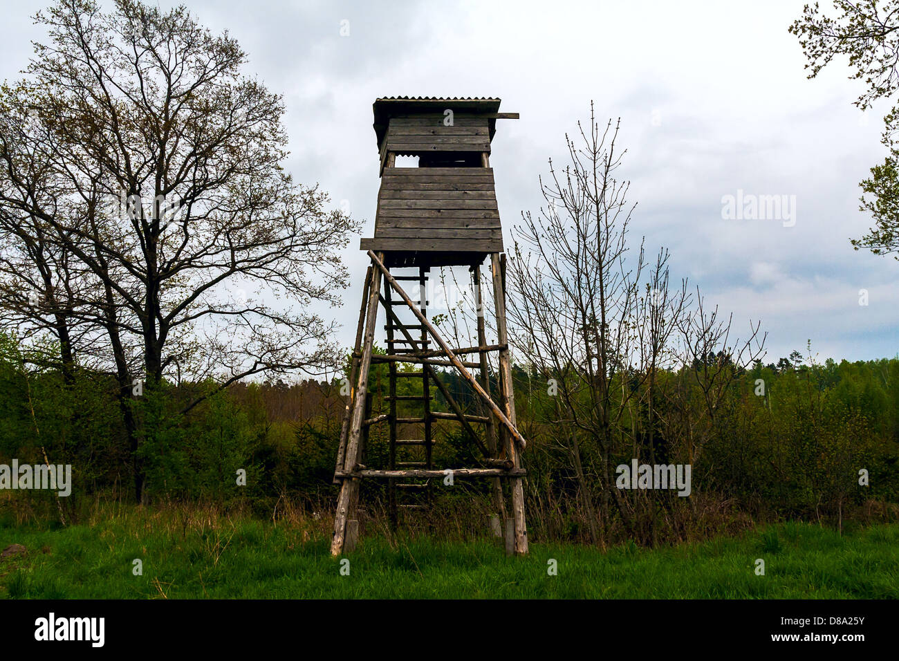 Spring landscape with hunting lookout tower in forest Stock Photo - Alamy