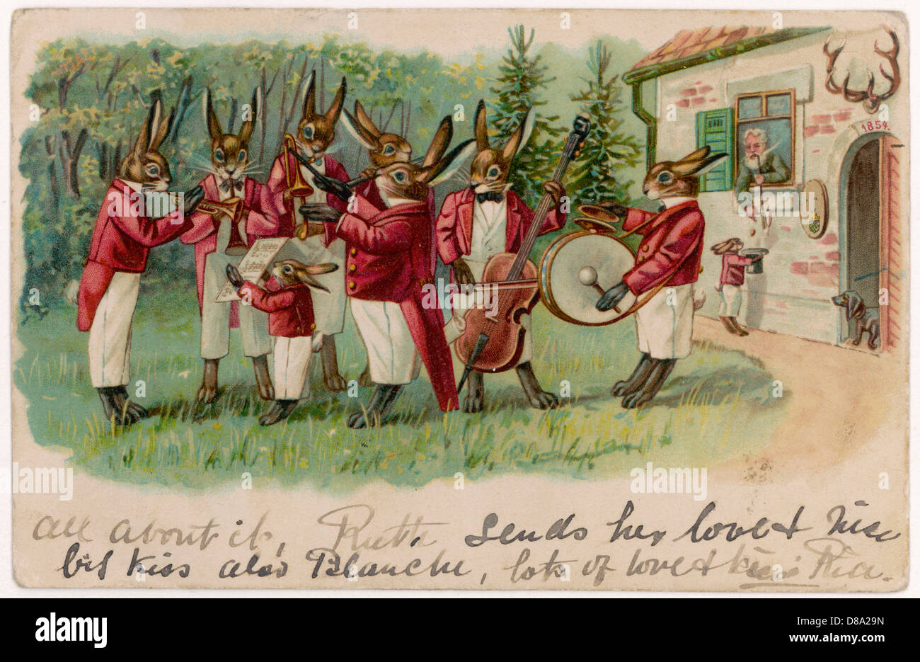 Rabbit band hi-res stock photography and images - Alamy