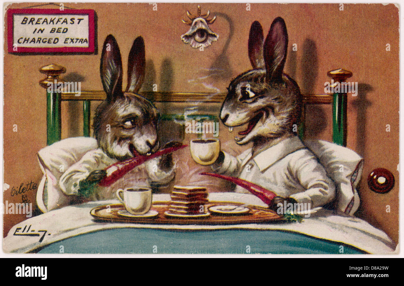 RABBITS BREAKFAST IN BED Stock Photo - Alamy