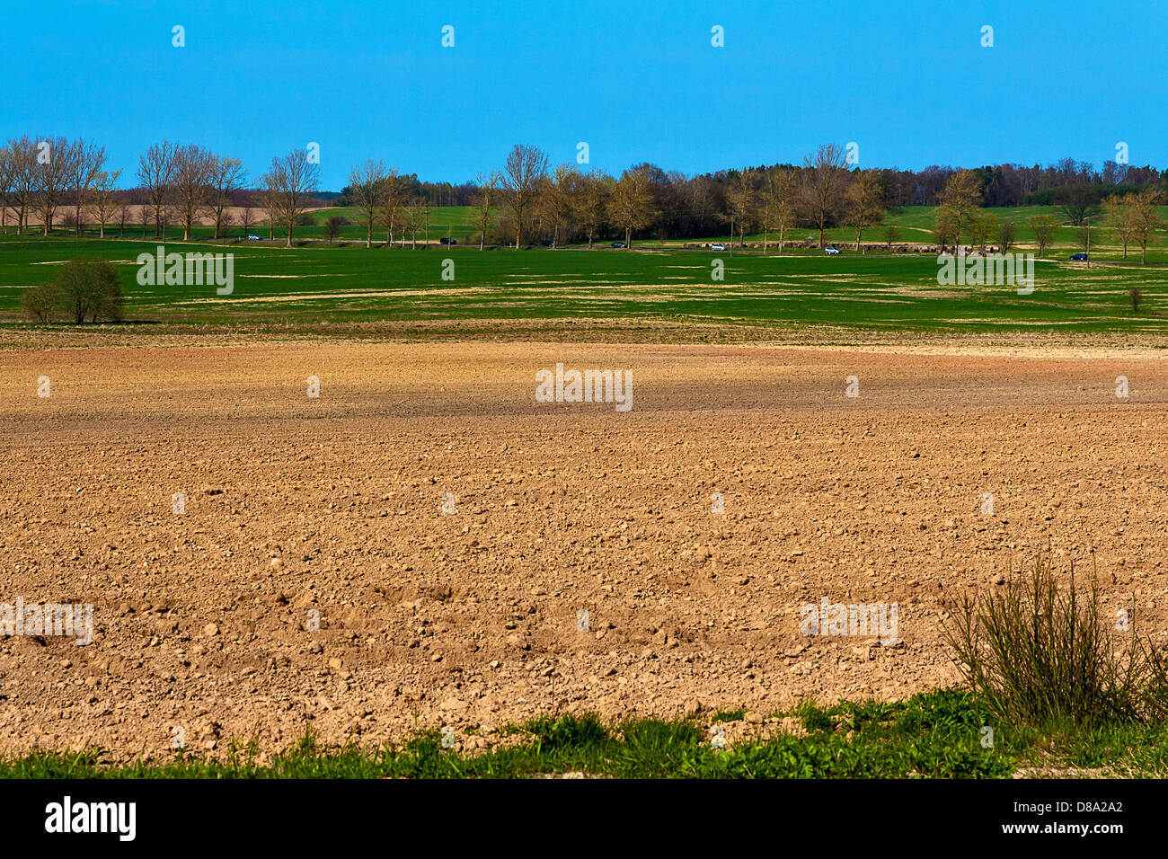 Spring landscape with field and green nature Stock Photo - Alamy