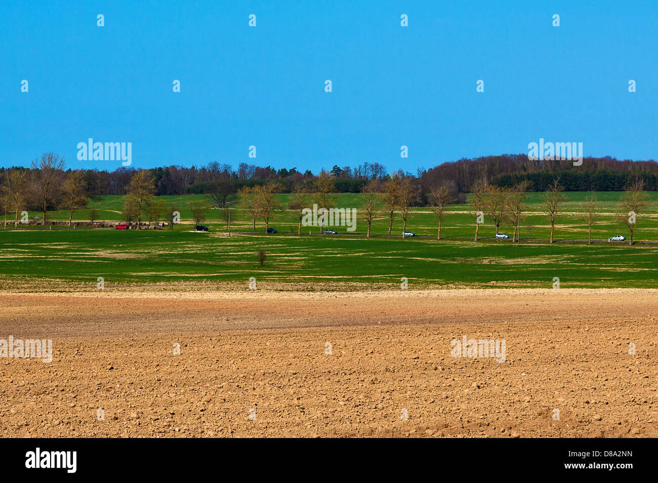 Spring landscape with field and green nature Stock Photo - Alamy