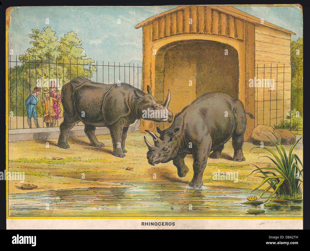 Zoo rhinoceros hi-res stock photography and images - Alamy