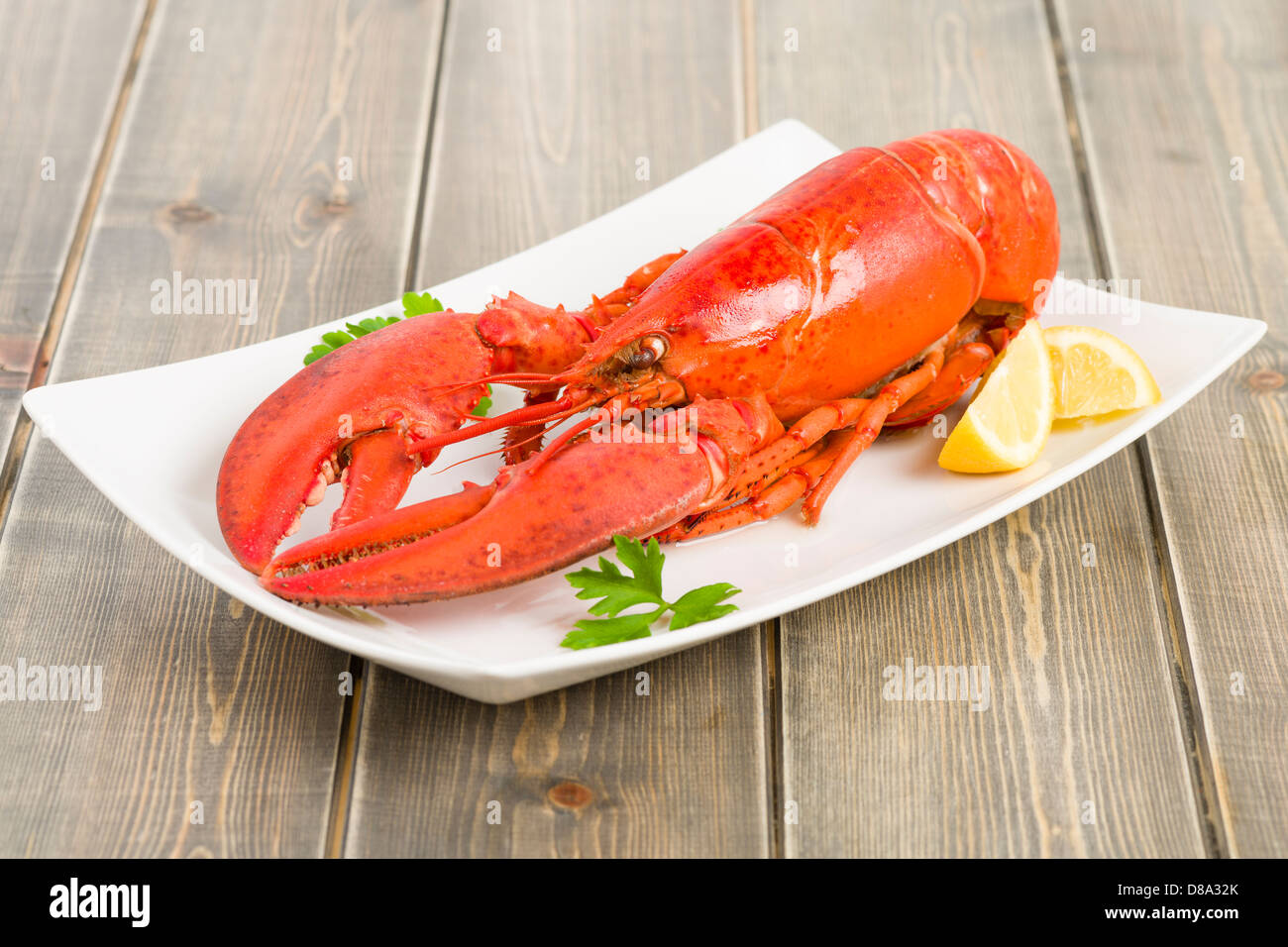 Lobster with lemon wedges Stock Photo - Alamy