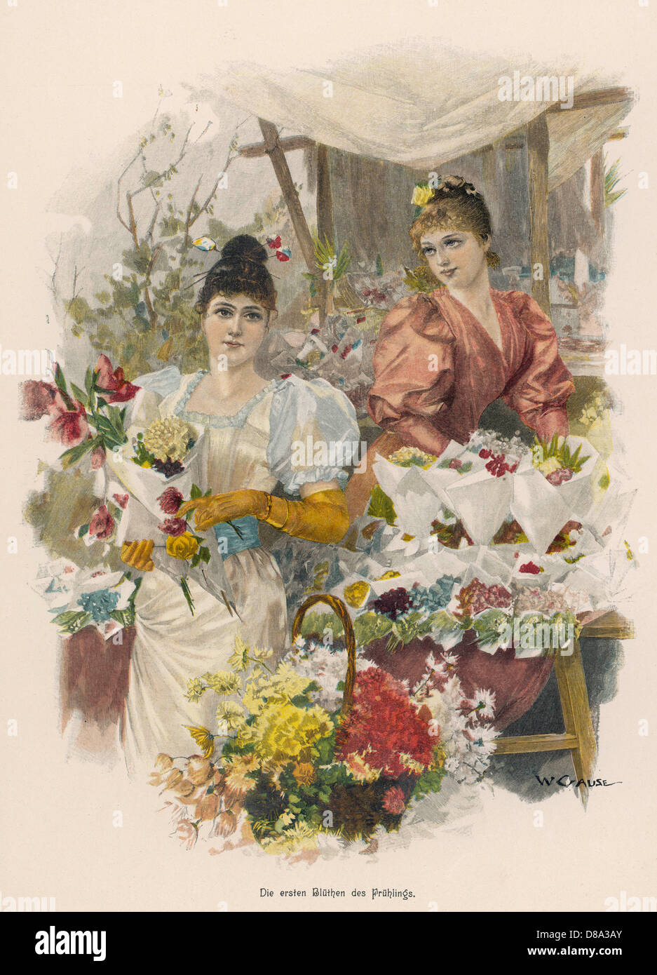 Gause hi-res stock photography and images - Alamy