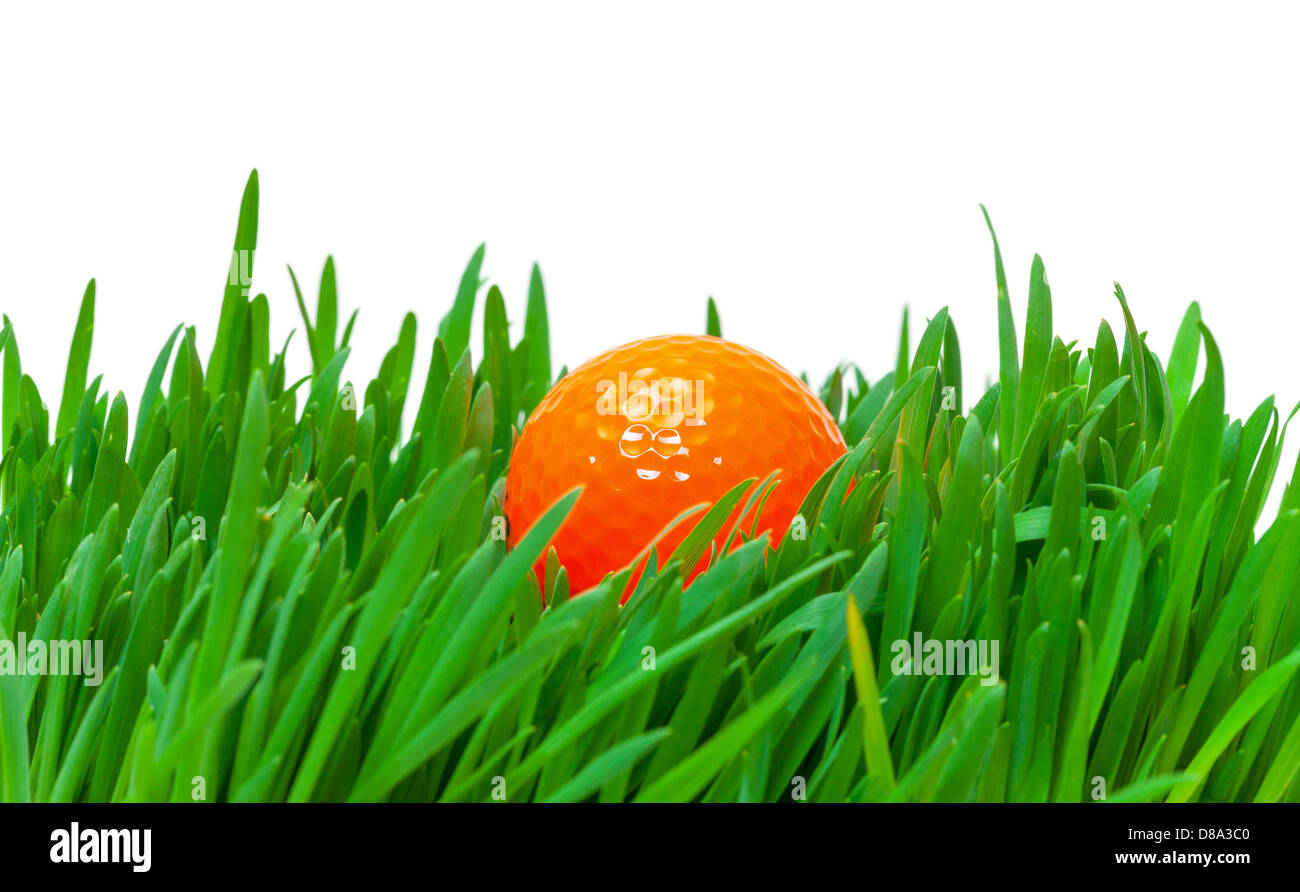 Orange golf ball in the long grass, closeup on white background Stock ...