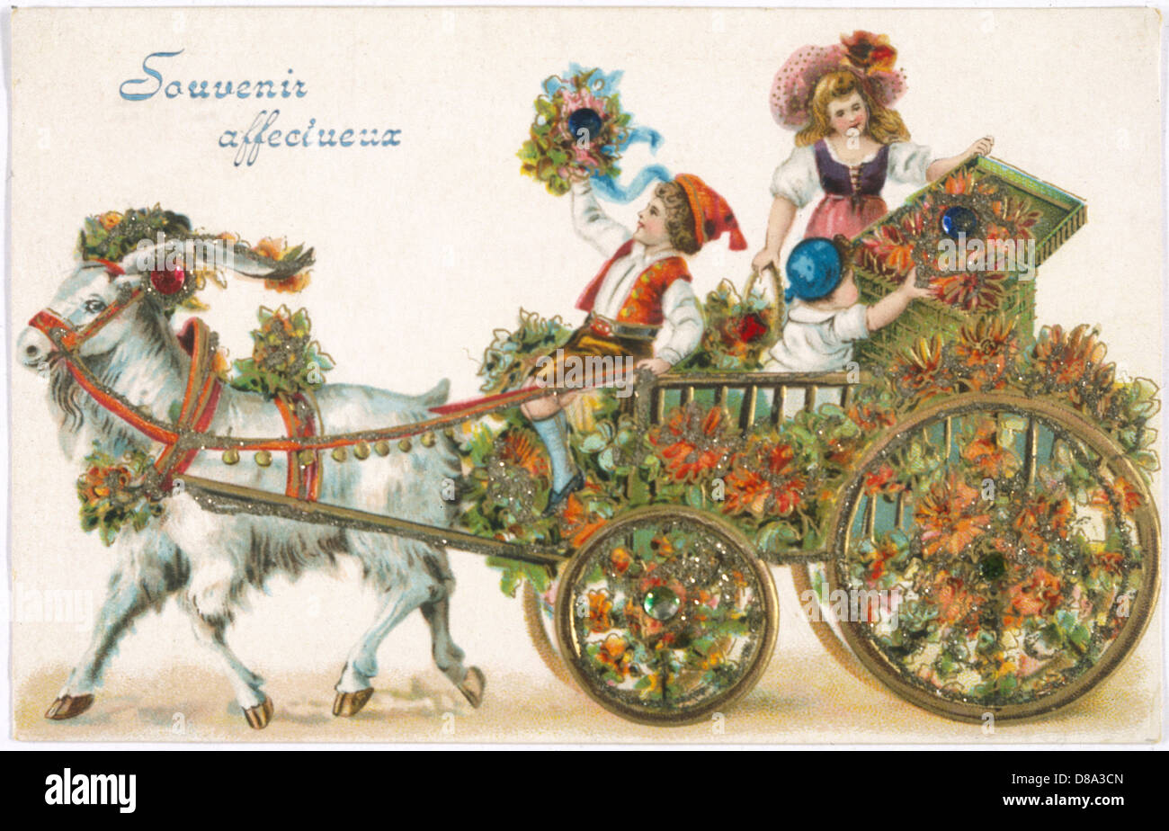 Goat cart hi-res stock photography and images - Alamy