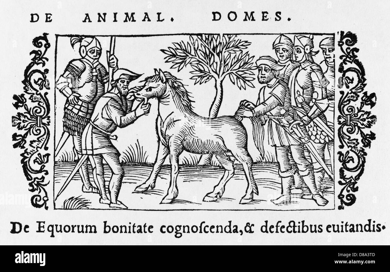 Its mouth Black and White Stock Photos & Images - Alamy