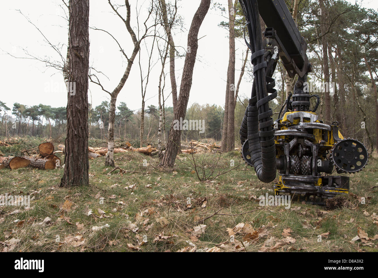 Wood machine tools hi-res stock photography and images - Alamy