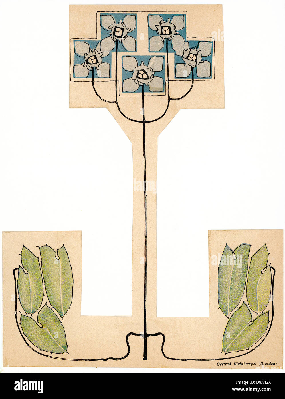 Squareflowered hi-res stock photography and images - Alamy