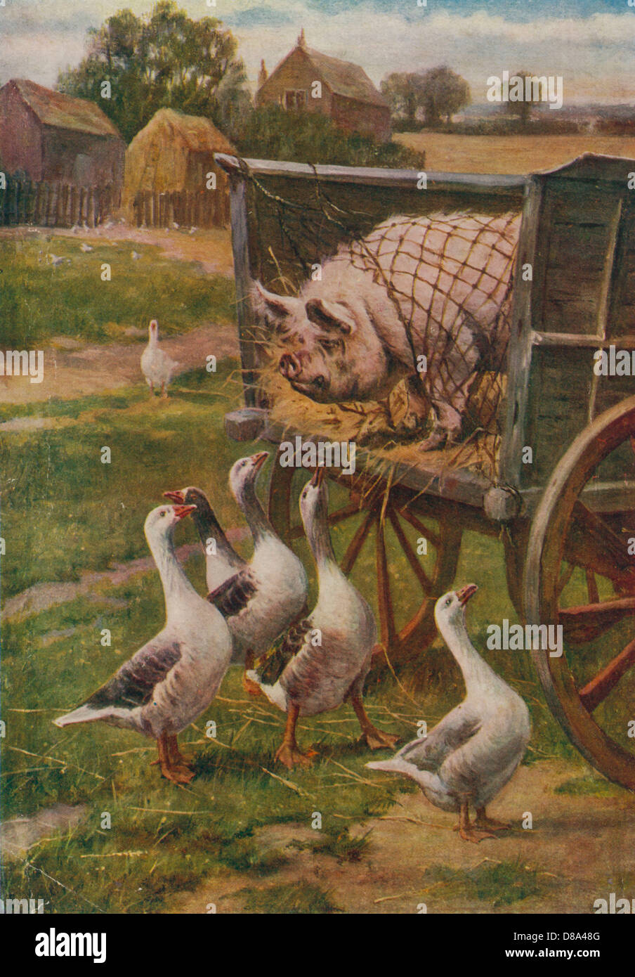 PIG OFF TO MARKET 1910 Stock Photo - Alamy