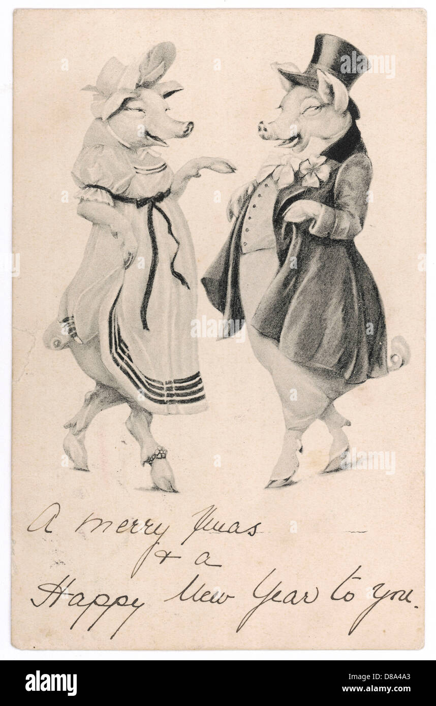 PIG COUPLE AS HUMANS Stock Photo - Alamy