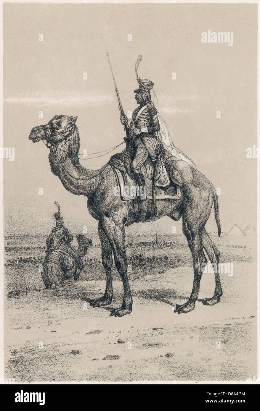 CAMEL & RIDER EGYPT 18C Stock Photo - Alamy