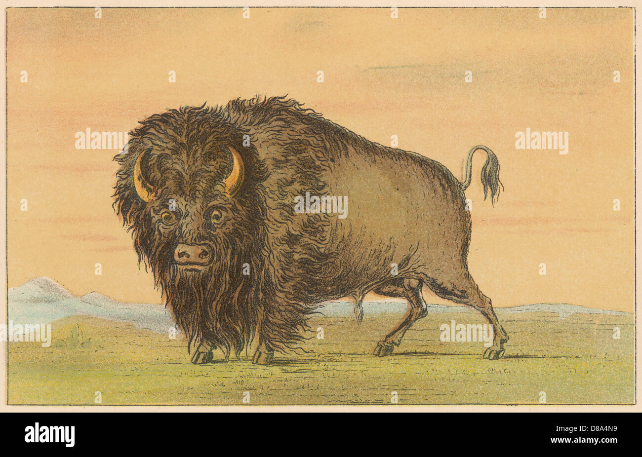 Catlin hi-res stock photography and images - Alamy