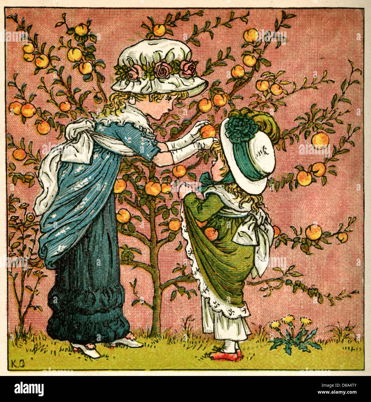 Victorian Fruit Illustration High Resolution Stock Photography and ...