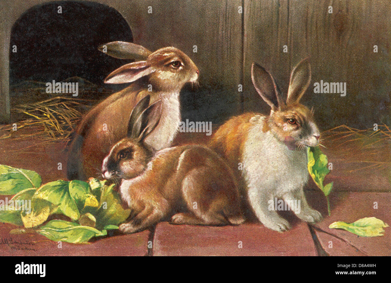 RABBITS & GREEN LEAVES Stock Photo - Alamy