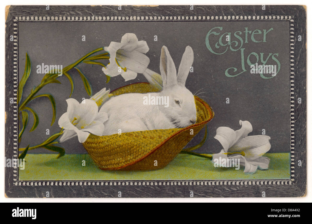 WHITE RABBIT EASTER 1912 Stock Photo - Alamy