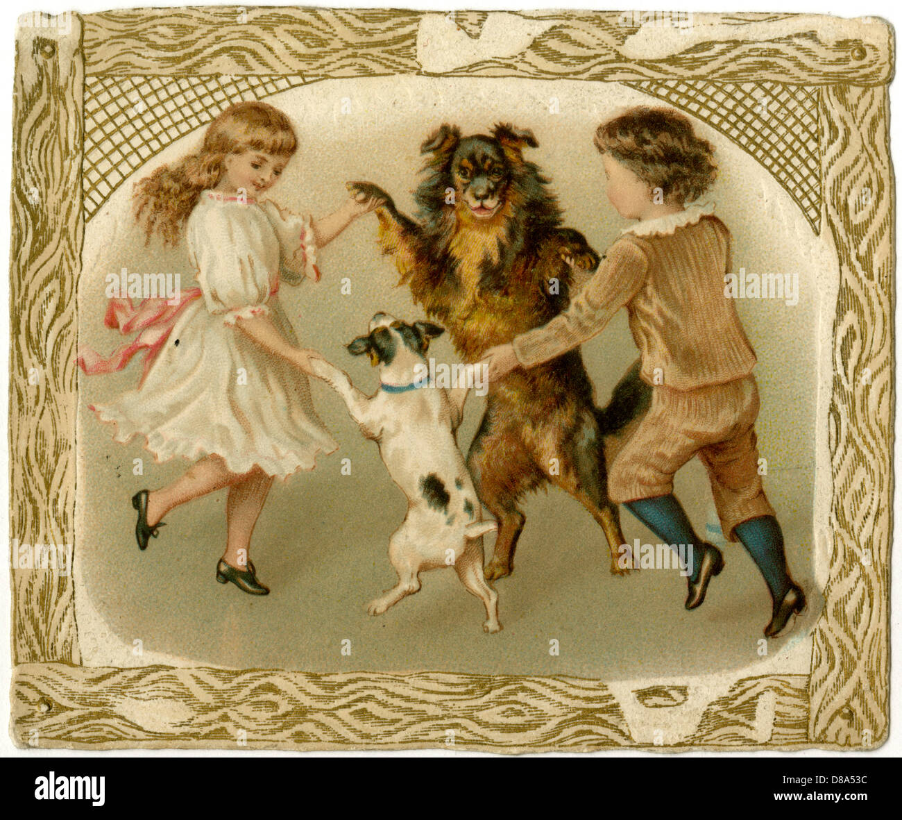 Two dogs dance hi-res stock photography and images - Alamy