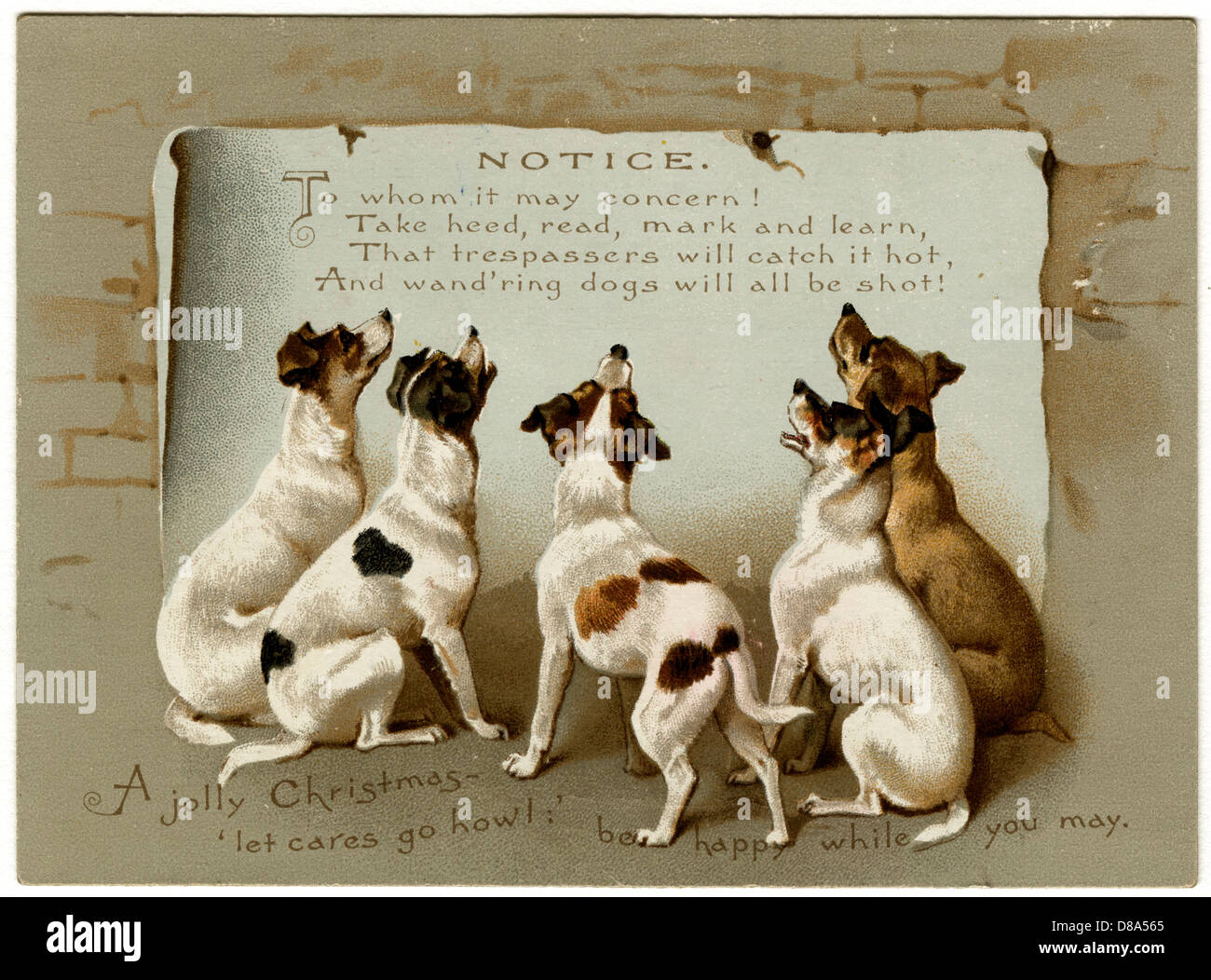 DOGS READING NOTICE Stock Photo - Alamy