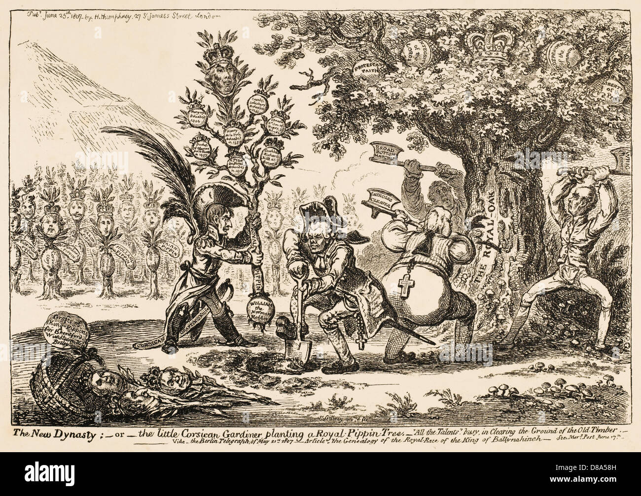 NAPOLEON'S FAMILY TREE Stock Photo - Alamy